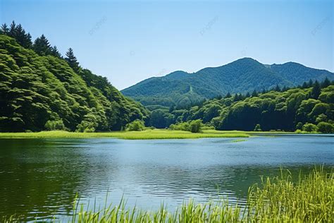 산과 나무 사이의 호수 가을 괴산군 나무 배경 일러스트 및 사진 무료 다운로드 Pngtree