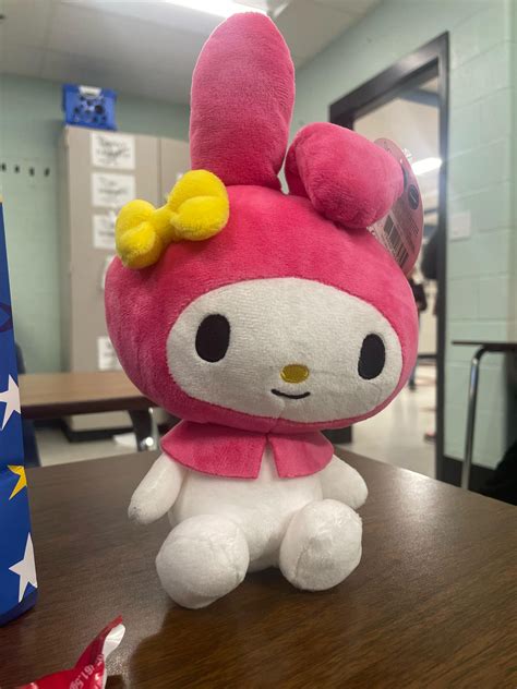 Look What My Friend Got Me R Sanrio