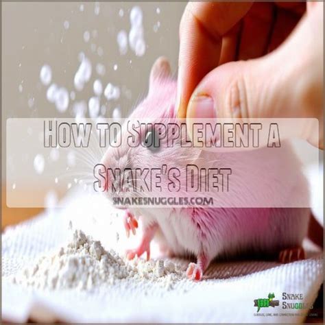 How To Supplement A Snakes Diet Pro Tips For Perfect Reptile