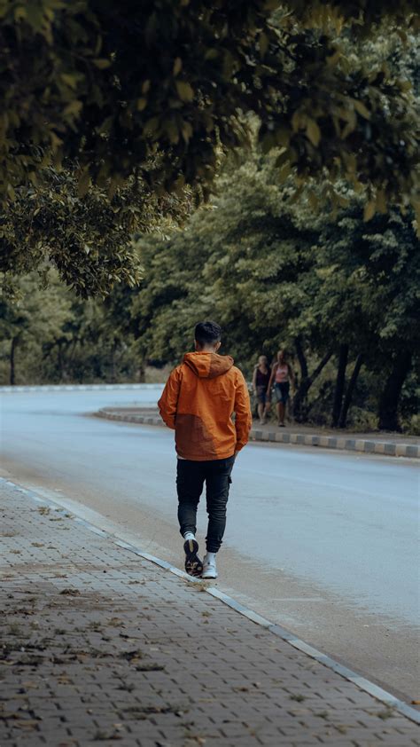 가을 가을 색 거리 걷고 있는 경치가 좋은 계절 고독 고요한 공원 도로 나무 나무가 늘어선 남자 낮 도로 도시 경관 도시 생활 도시의 도시의