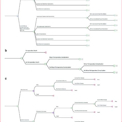 Decision Tree Model A Decision Node And Hysterectomy Route And