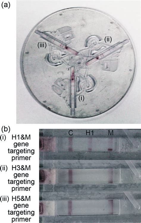 A Digital Image Of The Rt Lamp Ics Microdevice After Multiplex