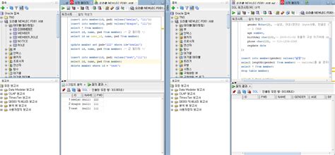 Oracle 13 트랜잭션 처리를 위한 Commit 과 Rollback