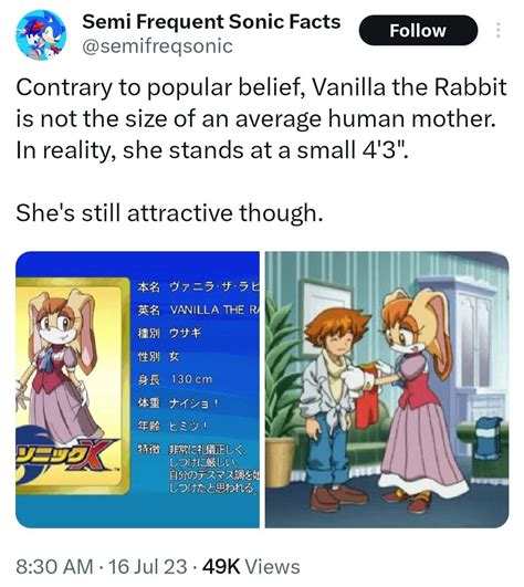 Human Vanilla The Rabbit