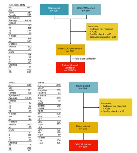 文献速递：深度学习疾病预后 多染色深度学习预测结直肠癌的预后和治疗反应深度学习文章复现癌症 Csdn博客
