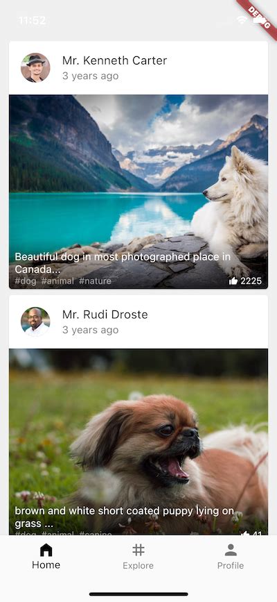 Github Milan Manwar Dummyapi Io Flutter Client An Unofficial Api Client Designed In Flutter