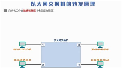 计算机网络第07讲 交换机的自学习算法（计算机网络简明教程及仿真实验） 哔哩哔哩 bilibili