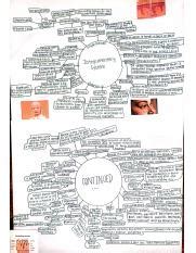 Chapter Concept Map Pdf Course Hero