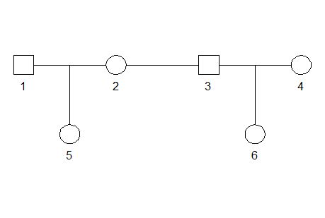 How To Plot Family Tree In R