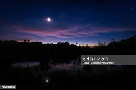 Moon Park Photos And Premium High Res Pictures Getty Images