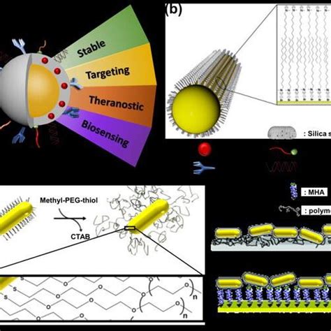 Schematic Diagrams A Surface Plasmon Polariton B Localized Download Scientific Diagram