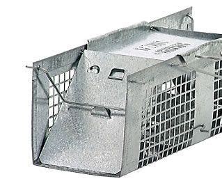 How To Get Rid Of Voles Vole Removal Havahart®