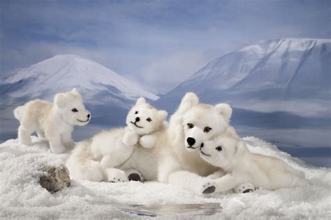 Arctic Wolf Puppies