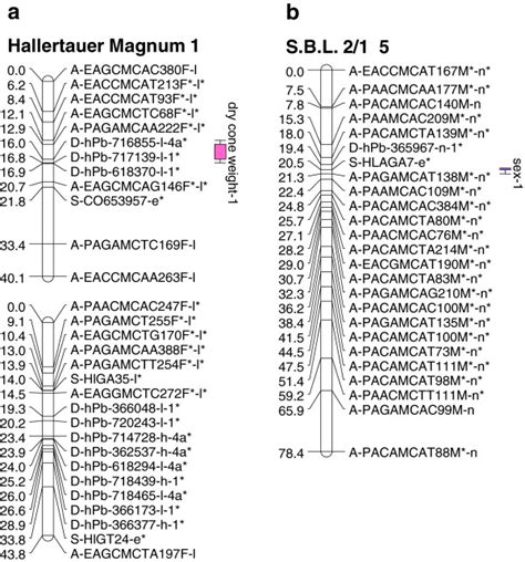 Location Of Qtl For Sex And Yield Traits On A Maternal And B