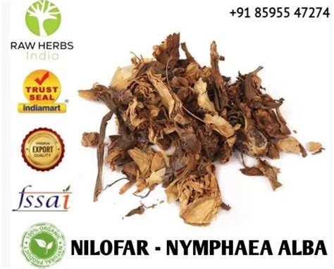Nilofar Nymphaea Alba At ₹ 150kg New Delhi Id 27162121491