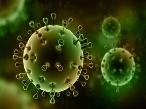 Seminar Vasculities Pptx