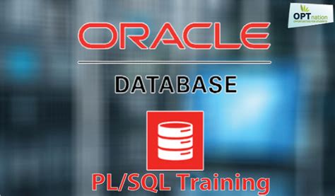 Oracle PL SQL Online Training Optnation Com