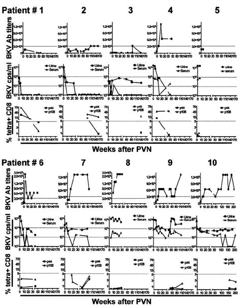 Temporal Relationship Between Bkv Specific Cellular Immune Response