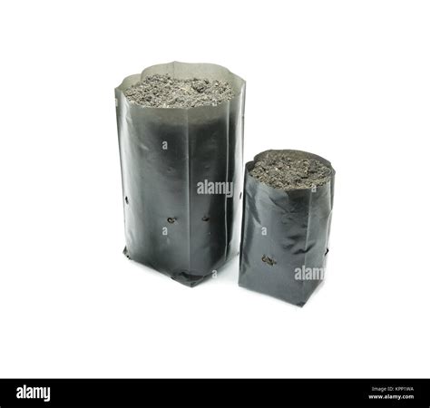 Nursery Bags With A Soil On White Background Stock Photo Alamy