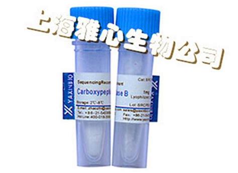 Sequencing Grade Carboxypeptidase B Cas No 9025 24 5 At Best Price In