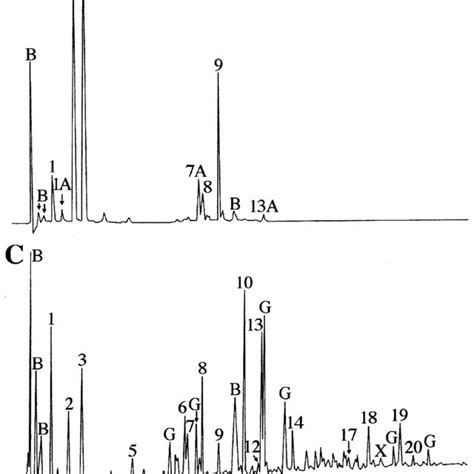 Reversed Phase High Pressure Liquid Chromatography Separation Of Spore