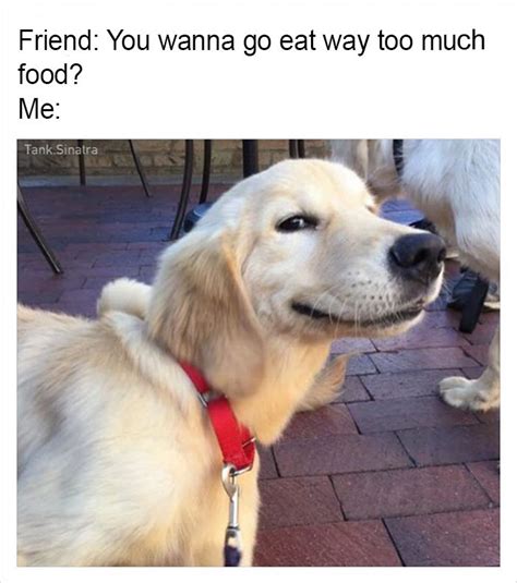 149 Funny Memes By Tank Sinatra Bored Panda