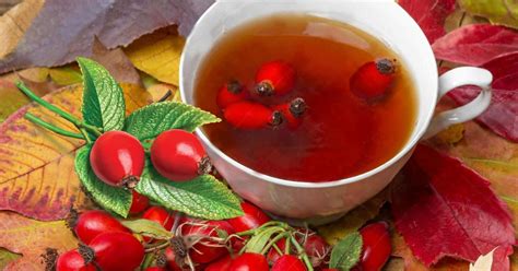 გიზიარებთ საიდუმლო სასმელს გაციების დროს რომელიც უსიამოვნო სიმპტომებს მომენტალურად განდევნის