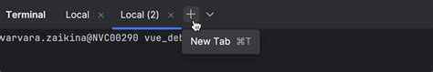 Terminal WebStorm Documentation