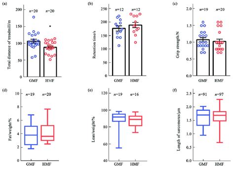 Hmf Induced Reduction In The Exercise Capacity Of Adult Male Mice A