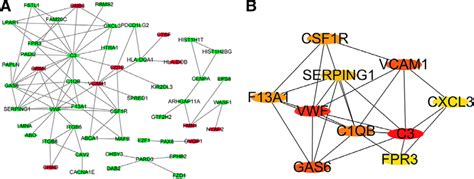 Protein Protein Interaction Network Constructed And Hub Gene