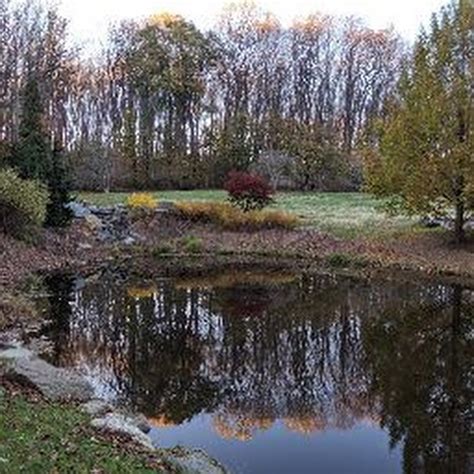 David Bekkerman Youtube