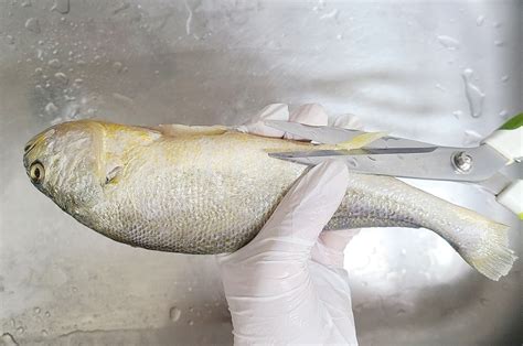 부세조기 구이 프라이팬 생선구이