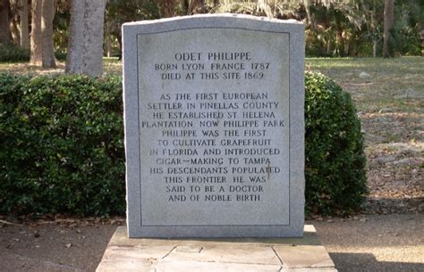 Philippe Park Odet Philippe Safety Harbor Fl Seesafetyharbor