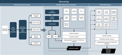 Overview Of Classification Methodology Download Scientific Diagram