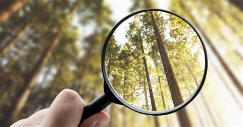 Spot The Difference Lvi Quiz By T Rev19