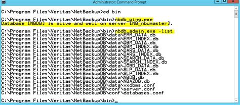 remote infrastructure management netbackup 7 7 2 catalog administration