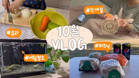 10월 Vlog L 밥먹고 뜨개질하고 어항청소하고 데이트하는 임산부 브이로그 Youtube