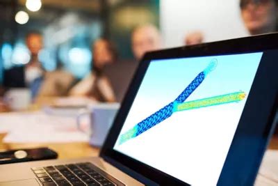 Cardiovascular Blood Flow Simulation Software Ansys