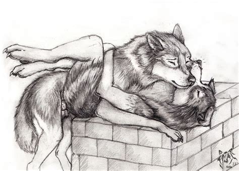 Rule 34 2013 Animal Genitalia Animal Penis Anthro Anthro On Feral