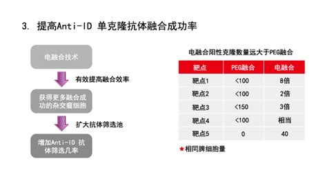 抗独特型抗体（anti Idiotype）制备服务 钟鼎生物