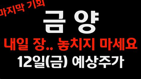 금양 주가 금예상주가 주무시기 전에 꼭 보세요 박순혁추천주김작가tv서정덕tv금양금양주식전망금양주가전망금양주가