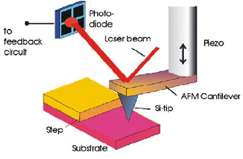 Schematic Of Components Of An Afm With Optical Beam Deflection Download Scientific Diagram