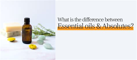 What Is The Difference Between Essential Oils And Absolutes