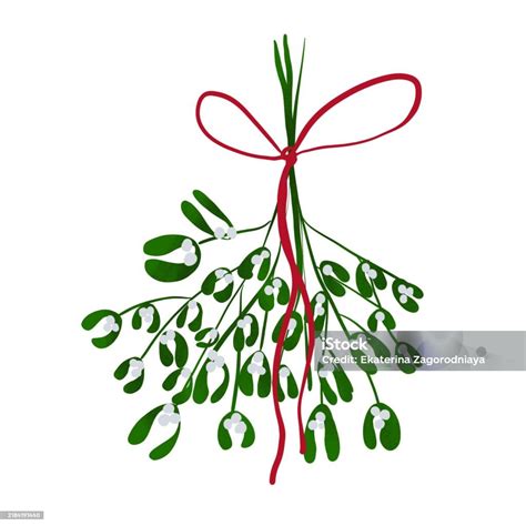 Illustration Mistletoe With Red Ribbon Festive Holiday Symbol Stock