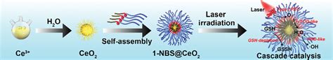 A Photoactivated Self‐assembled Nanoreactor For Inducing Cascade‐amplified Oxidative Stress