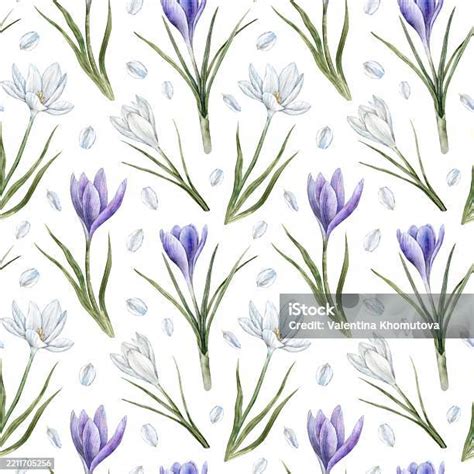 녹색 잎과 흰 꽃잎이 있는 자주색과 흰색 크로커스 수채화 식물 이음매 없는 패턴 봄 디자인 결혼식 초대장 인사말 카드 브랜딩 포장 직물에 적합합니다 0명에 대한 스톡 벡터
