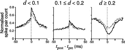 Learning Cross Modal Spatial Transformations Through Spike Timing Dependent Plasticity Journal