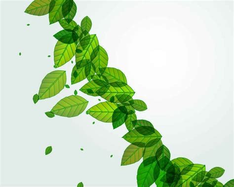Green Leaves Vector Background Vectors Images Graphic Art Designs In Editable Ai Eps Svg Cdr