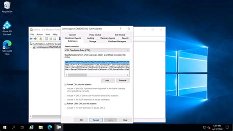 publish certificate services crl and ocsp sites to the internet using