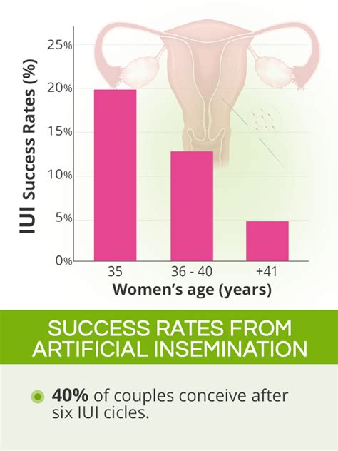 Artificial Insemination Ai Shecares